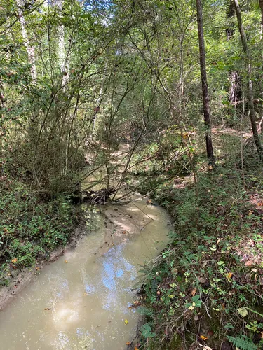 Best Hikes and Trails in Huntersville Athletic Park and Recreation ...