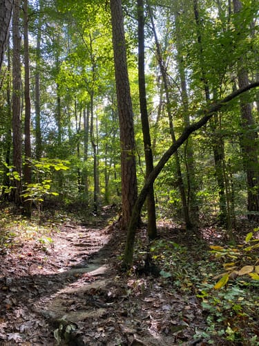 Best Hikes and Trails in Huntersville Athletic Park and Recreation ...
