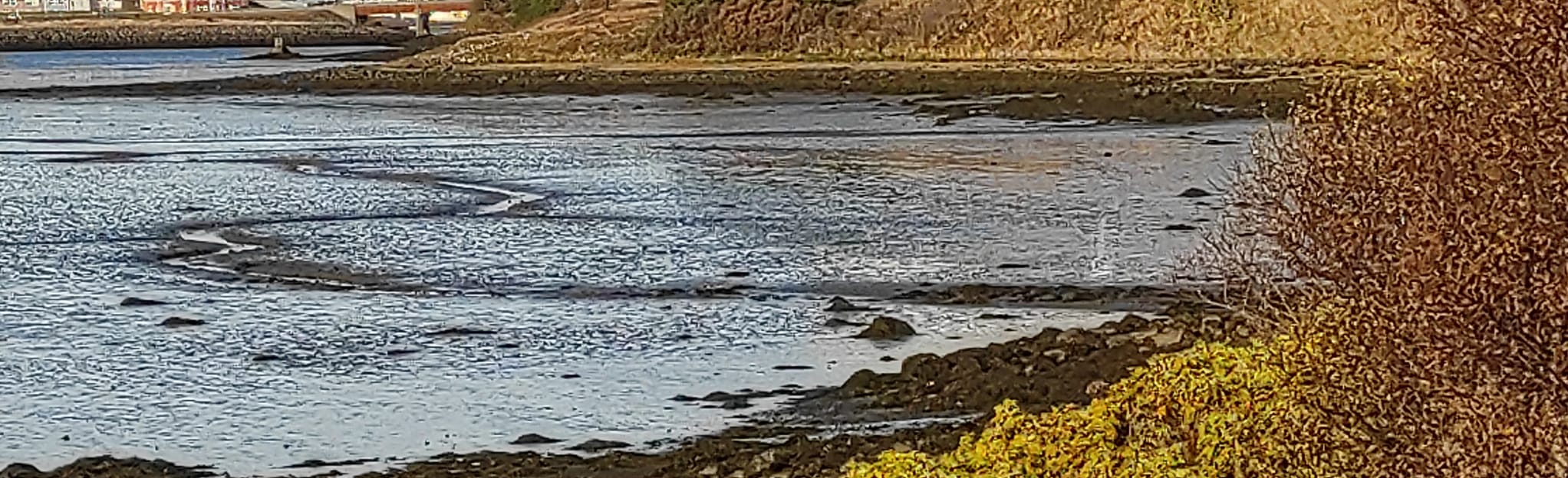 Greisnef - Rauðavatn - Grafarvogur: 1 Reviews, Map - Capital, Iceland ...