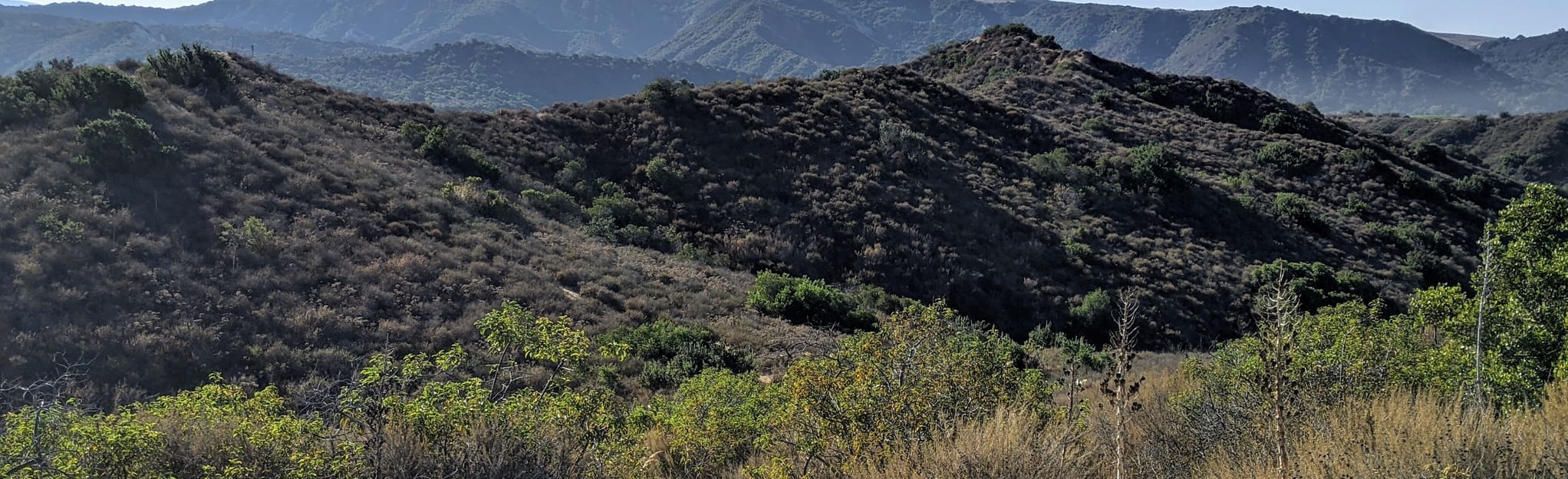 Pinhead Peak Trail, California - 52 Reviews, Map | AllTrails