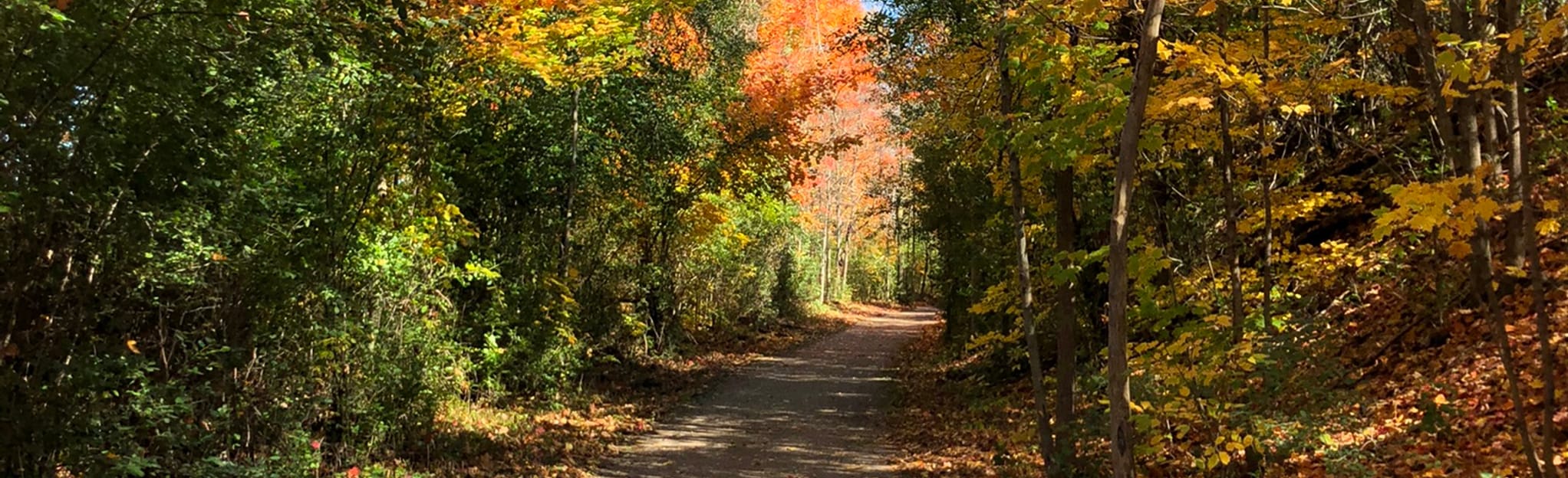 Trans-Canada Trail to Pioneer Tower | Map, Guide - Ontario, Canada ...