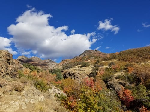 2023 Best 10 Trails and Hikes in Layton | AllTrails