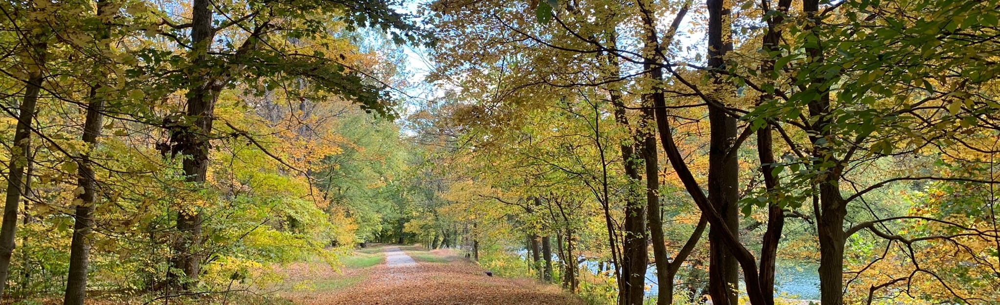 Roaring Run Trail, Pennsylvania - 482 Reviews, Map | AllTrails