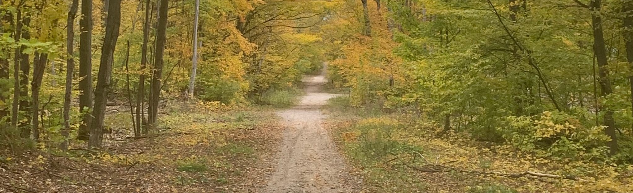 SCMBC Midland Trail: 224 Reviews, Map - Ontario, Canada | AllTrails