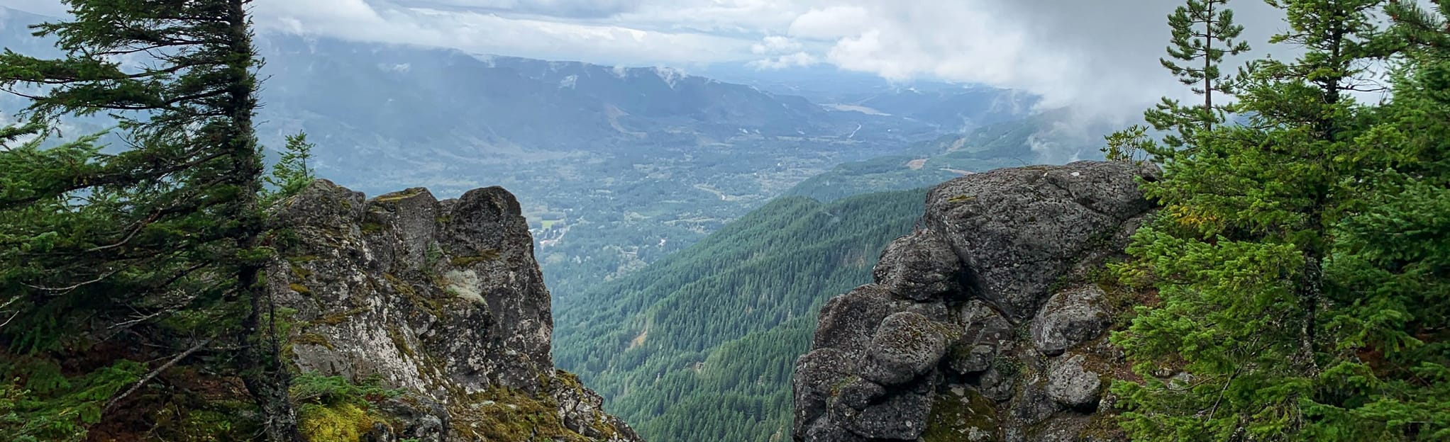 West Zigzag Mountain Trail: 208 foto's - Oregon | AllTrails