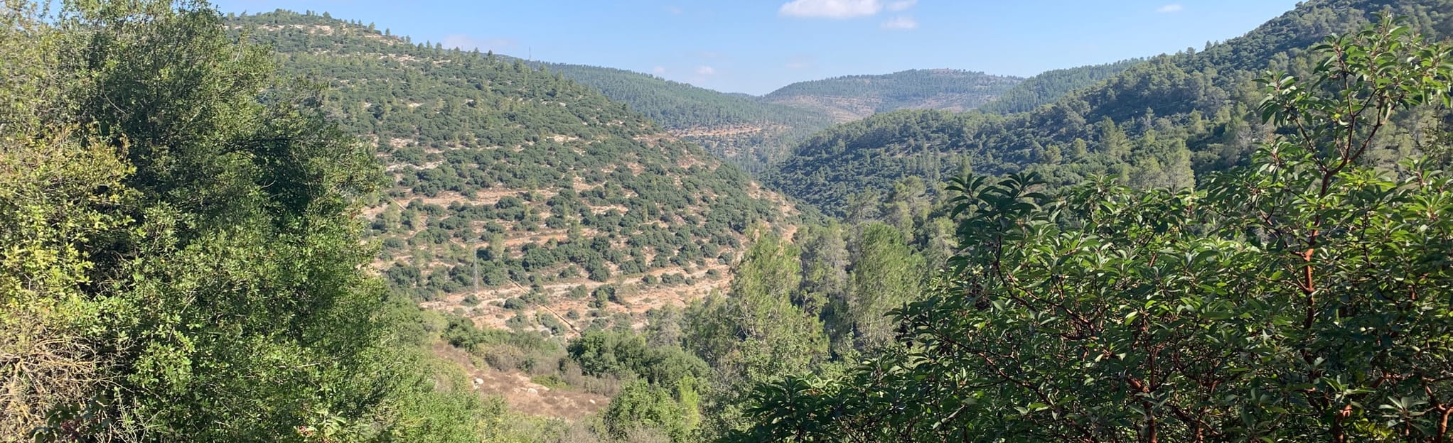Mount Yaela to Bar Giora, Jerusalem, Israel - 7 Reviews, Map | AllTrails