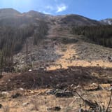 Tincup Pass OHV Route, Colorado - 122 Reviews, Map | AllTrails