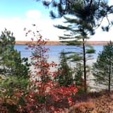 Beaver Lake Loop, Michigan - 132 Reviews, Map | AllTrails