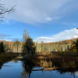 Beaver Lake Loop, Michigan - 132 Reviews, Map | AllTrails