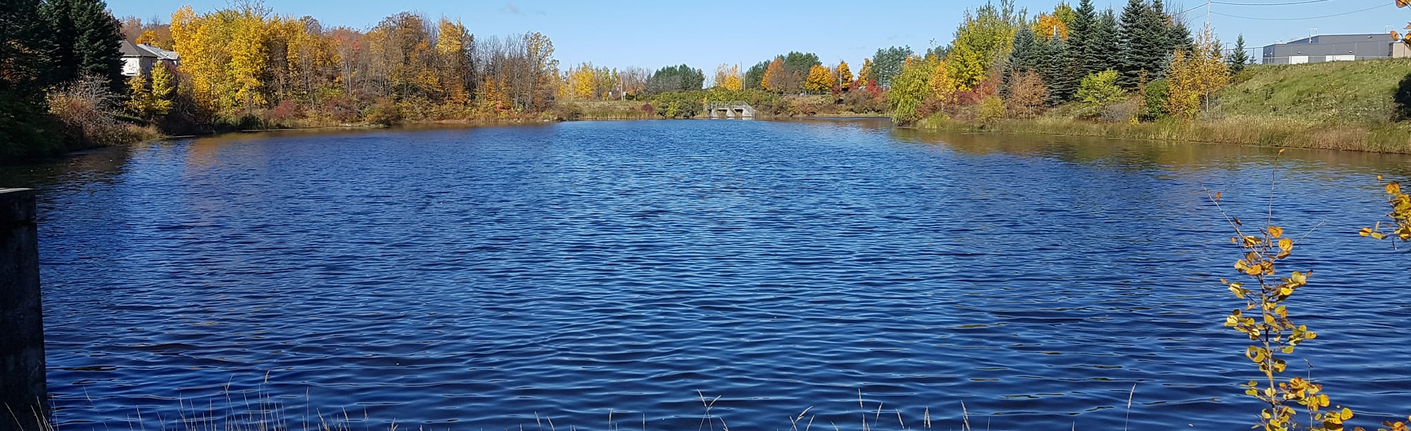 Barrhaven Creek Loop, Ontario, Canada - 21 Reviews, Map | AllTrails