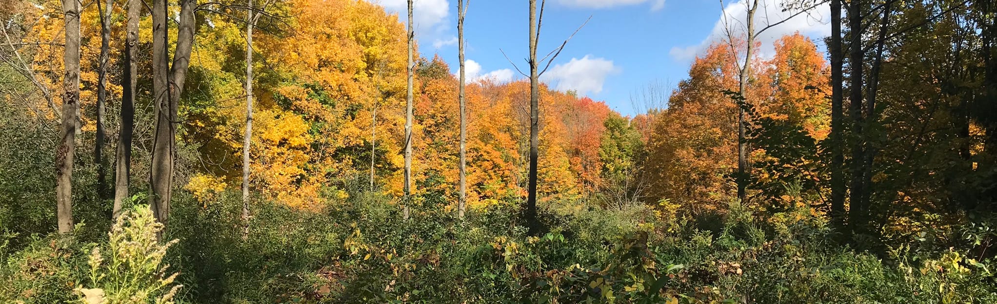 AllTrails | Baltimore Woods Nature Center Boundary Trail: 632 Reviews ...