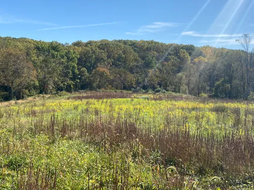 Best Hikes and Trails in Natural Lands' Peacedale Preserve | AllTrails