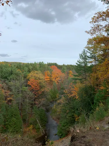 10 Best Short Trails in Simcoe County Forest | AllTrails