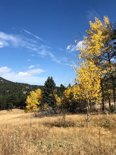 10 Best Trails and Hikes in Conifer | AllTrails