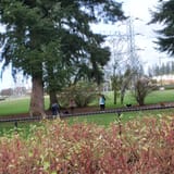 Dakota Dog Park Loop, Washington - 140 Reviews, Map | AllTrails