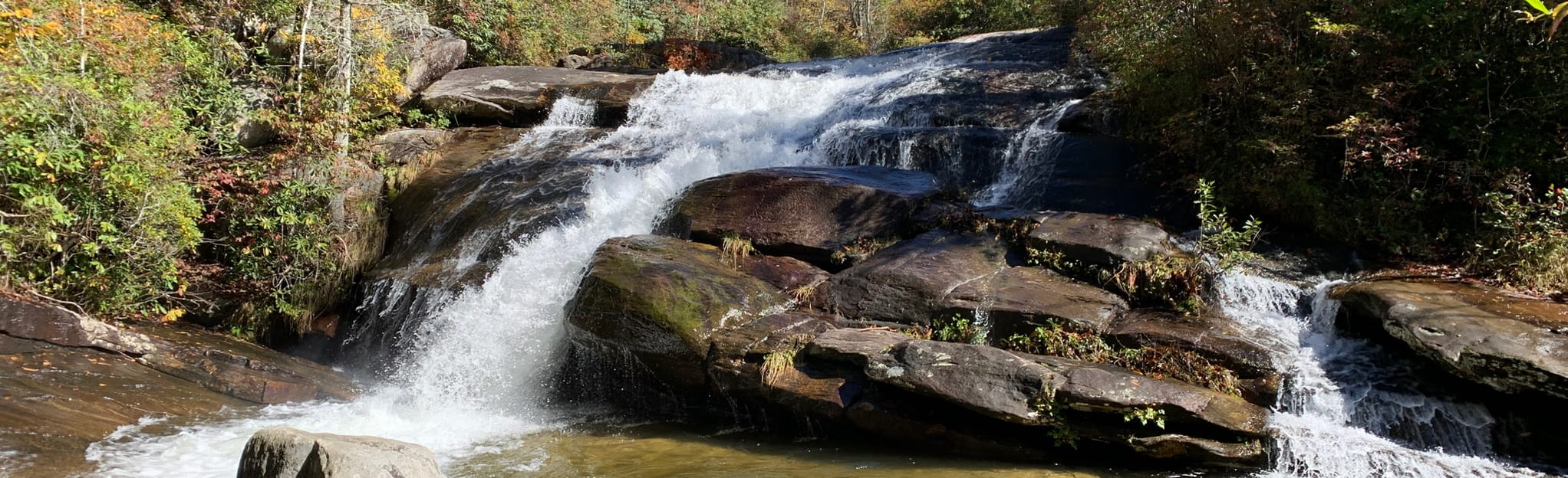 Wintergreen Falls Loop: 1.108 foto - Carolina del Nord | AllTrails