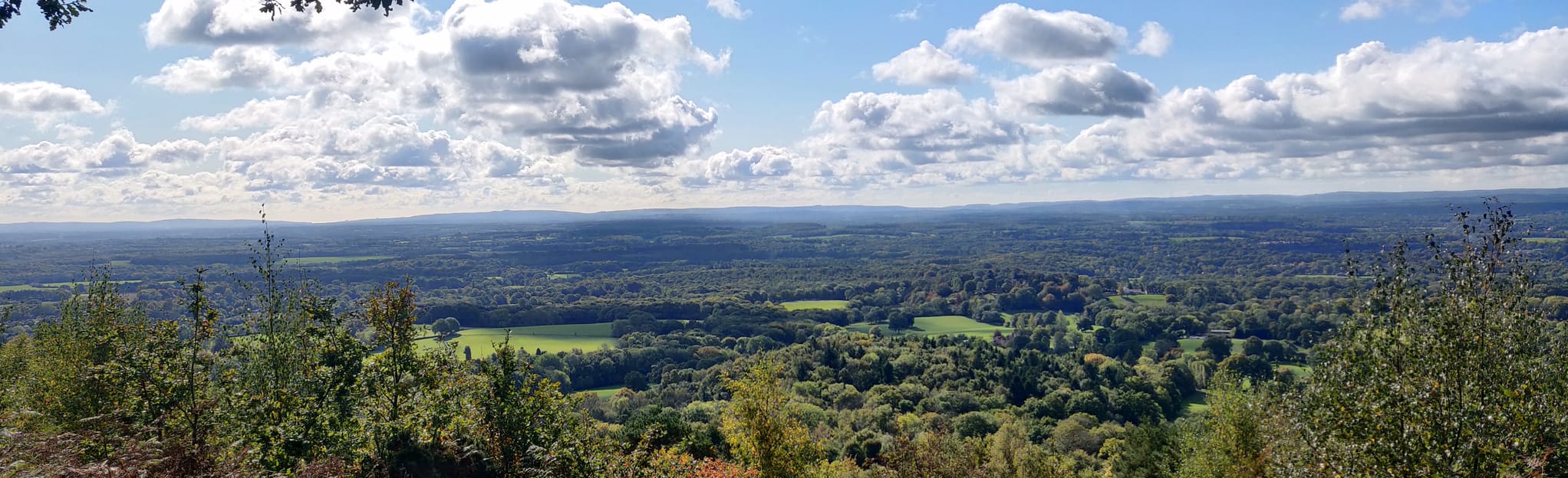 The Hurtwood and Winterfold Hill: 54 Reviews, Map - Surrey, England ...