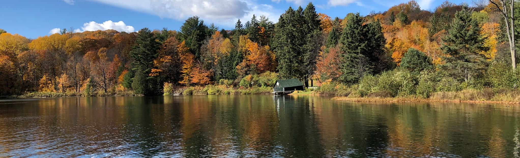 Meech Lake, Trail 50, Giant's Trail, Meech Lake Falls Loop: 1.748 foto ...