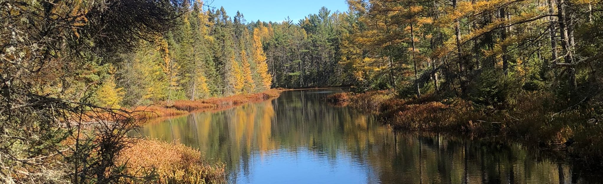 Star Lake Nature Trail | Map, Guide - Wisconsin | AllTrails