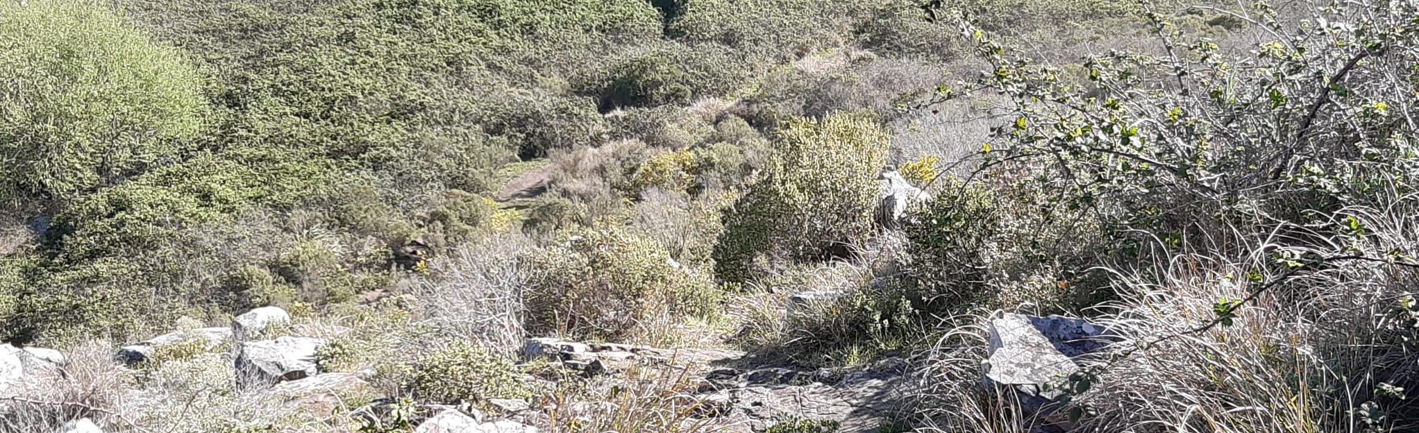 La Cascada de Tandil: 3 Reviews, Map - Buenos Aires, Argentina | AllTrails