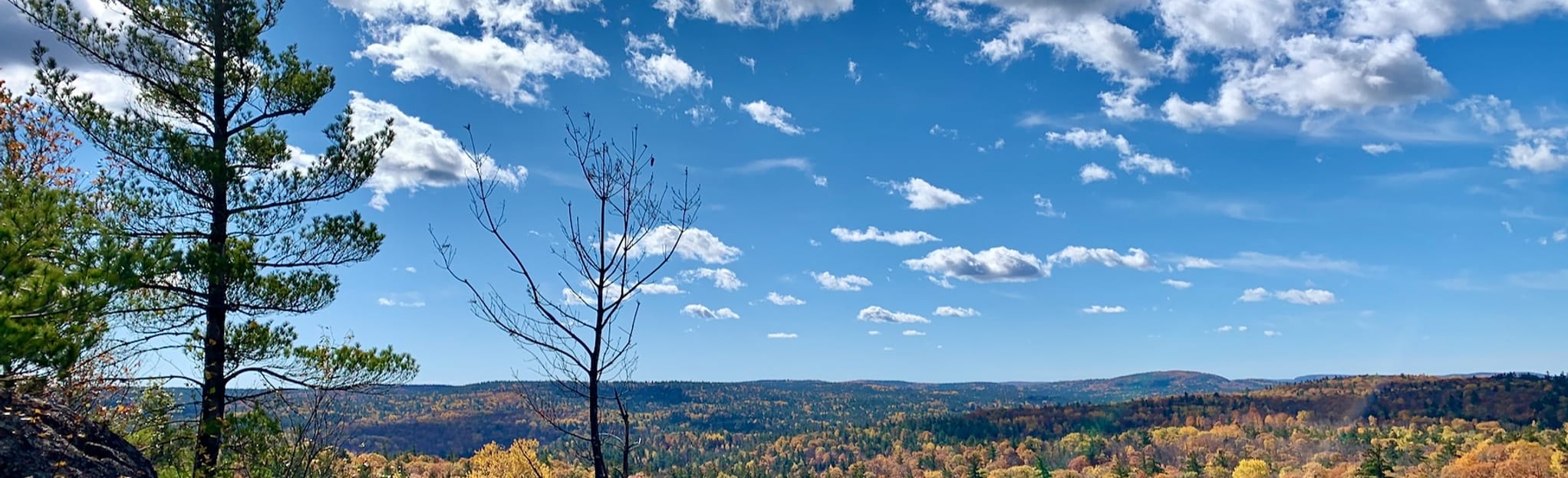 Manitou Mountain Trail to Calabogie Lake Loop - Ontario, Canada | AllTrails