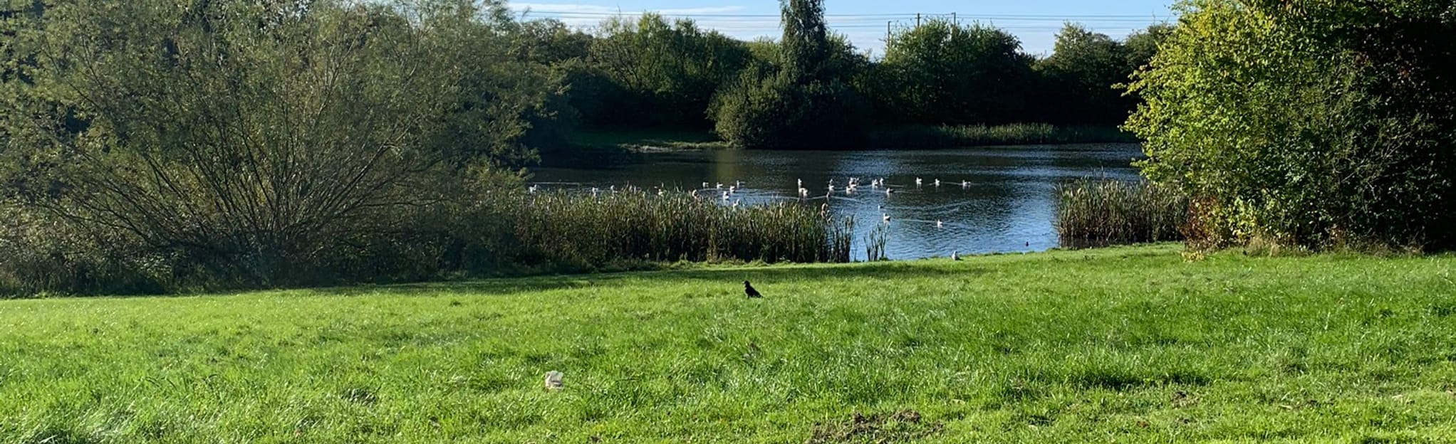 Hedehusene - Sengeløse - Høje Taastrup, Capital Region of Denmark ...