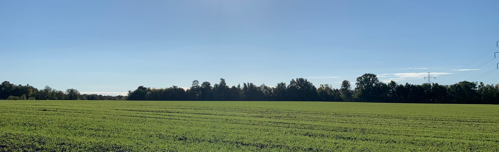 AllTrails | Hedehusene - Taastrup - Hedehusene: 8 Reviews, Map ...