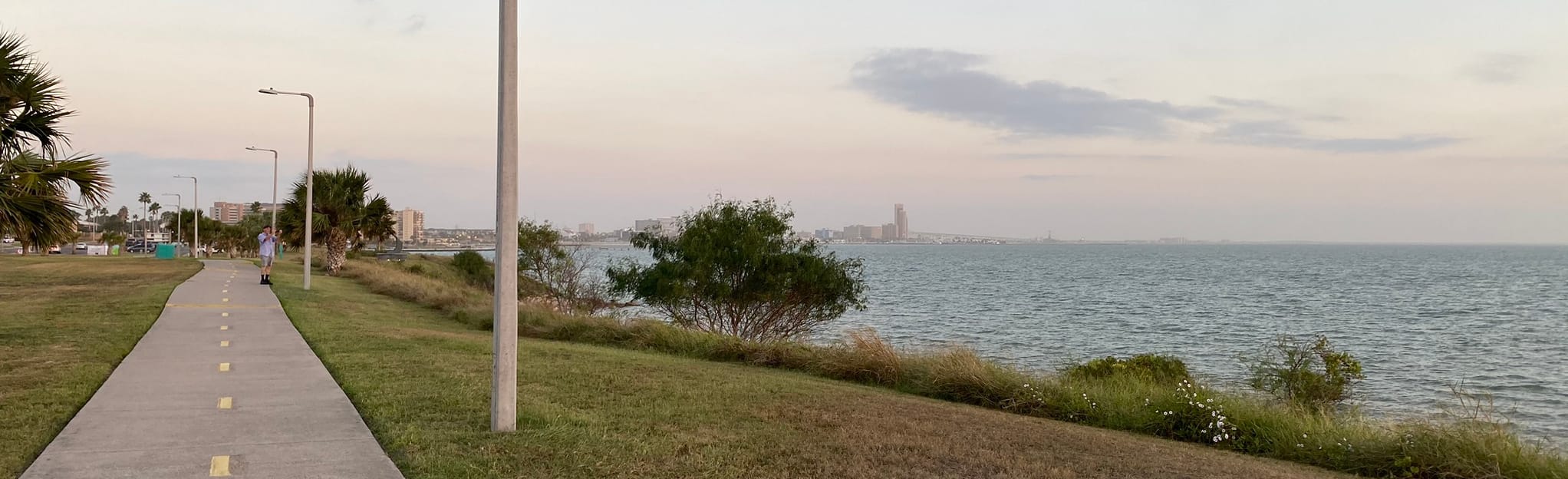 Cole Park Trail, Texas - 268 Reviews, Map | AllTrails