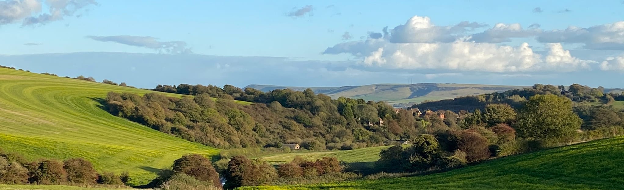 Lewes Old Racecourse Circular, 76 Fotos - East Sussex, England | AllTrails