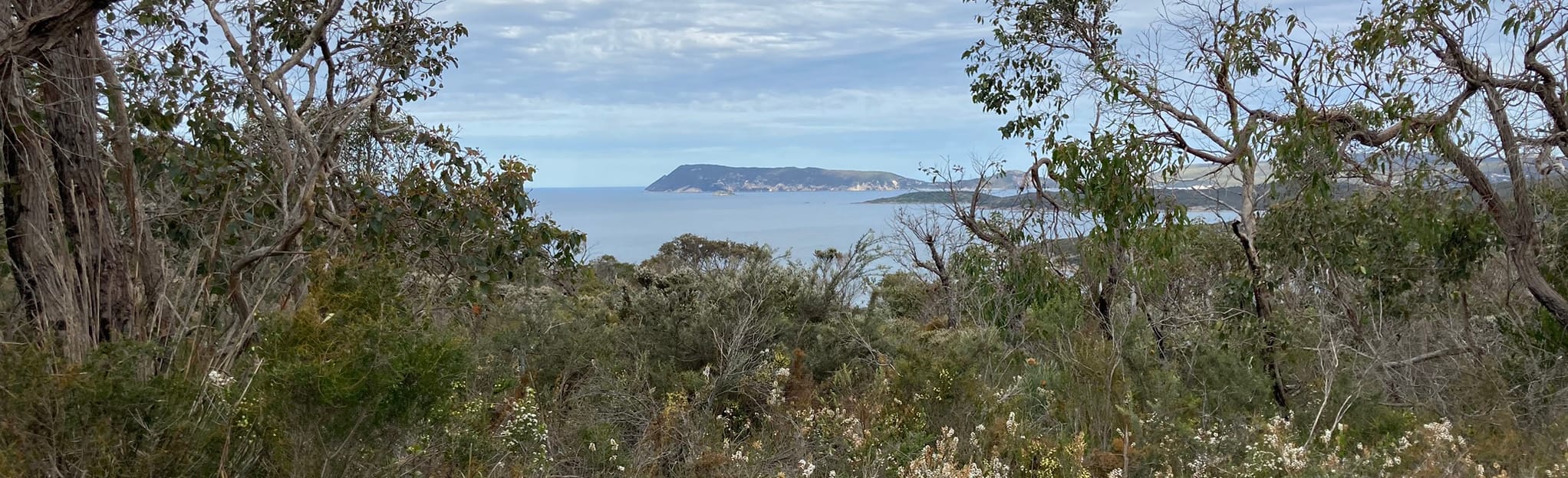 Mount Clarence and Mount Adelaide Long Loop, Western Australia ...
