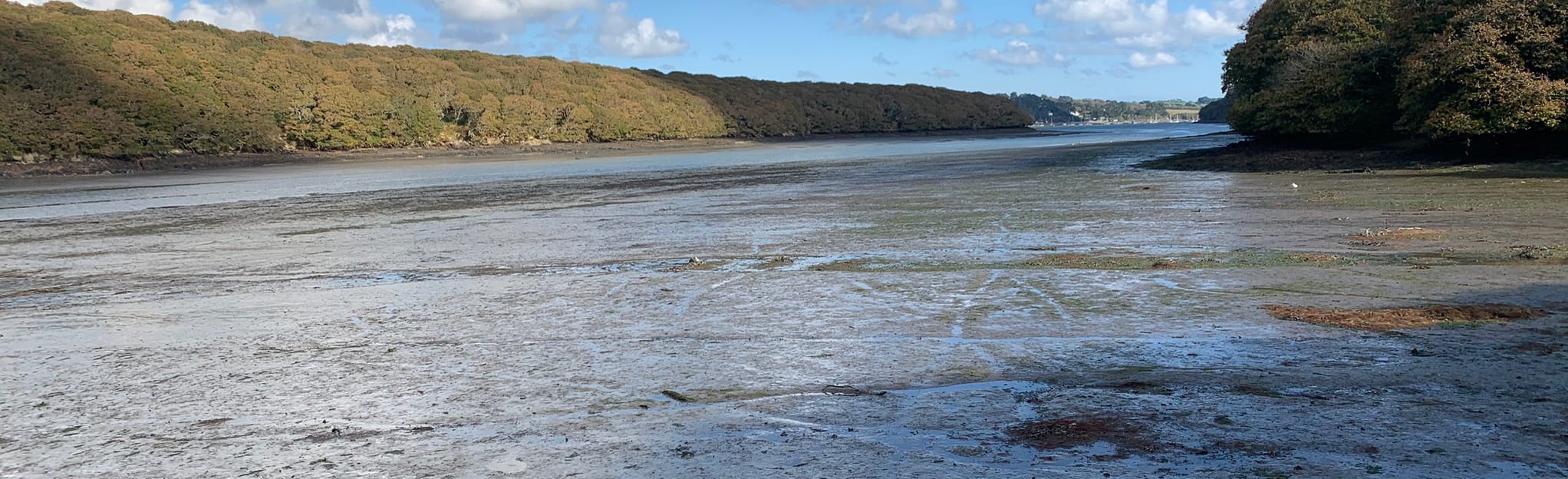 Tremayne Quay, Cornwall, England - 12 Reviews, Map | AllTrails