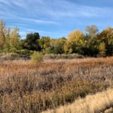 Ketner Reservoir Path, Colorado - 212 Reviews, Map | AllTrails