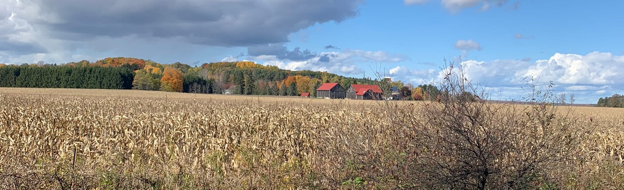 North Simcoe Rail Trail, Ontario, Canada - 86 Reviews, Map | AllTrails