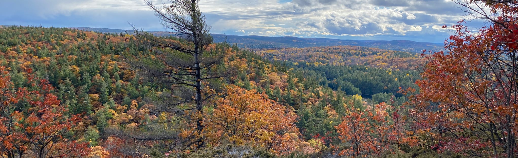Calabogie Loop, Ontario, Canada - 19 Reviews, Map | AllTrails