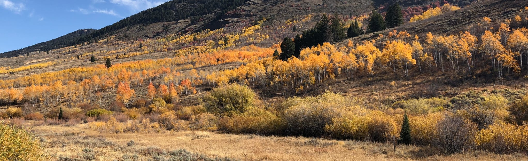 Logan Canyon Scenic Drive: 32 Reviews, Map - Utah | AllTrails