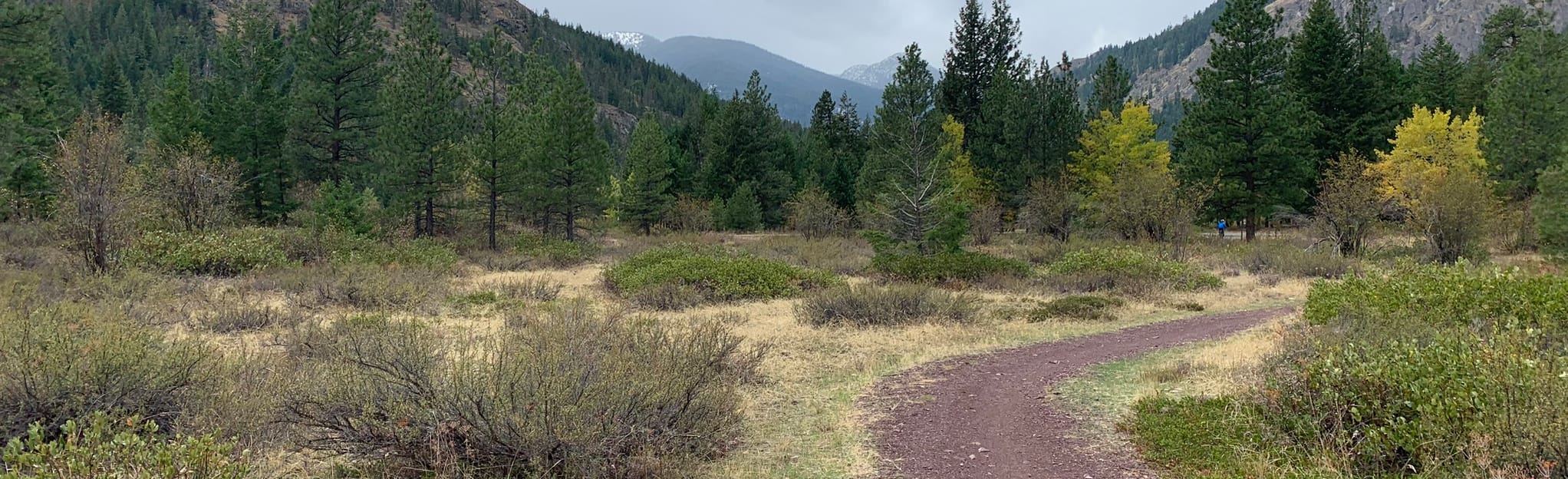 Methow Valley Community Trail: 57 Reviews, Map - Washington | AllTrails