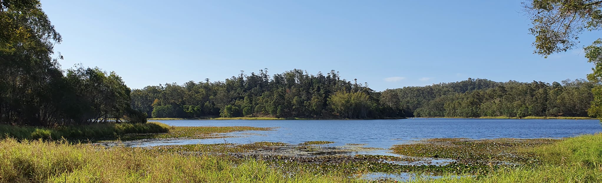 Reservoir Track and South Boundary Road Short Loop, Queensland ...