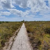 Cooloola Great Walk: Segment 1, Queensland, Australia - 156 Reviews ...