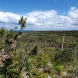 Cooloola Great Walk: Segment 1, Queensland, Australia - 156 Reviews ...