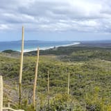 Cooloola Great Walk: Segment 1, Queensland, Australia - 156 Reviews ...