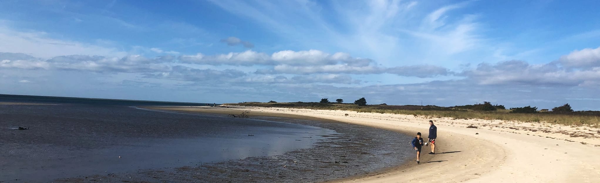 Morris Island Loop Trail, Massachusetts - 455 Reviews, Map | AllTrails