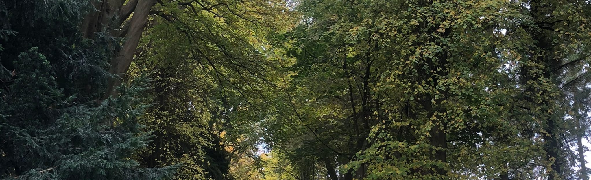 Callendar Woods and Park Pond: 27 Reviews, Map - Falkirk, Scotland ...