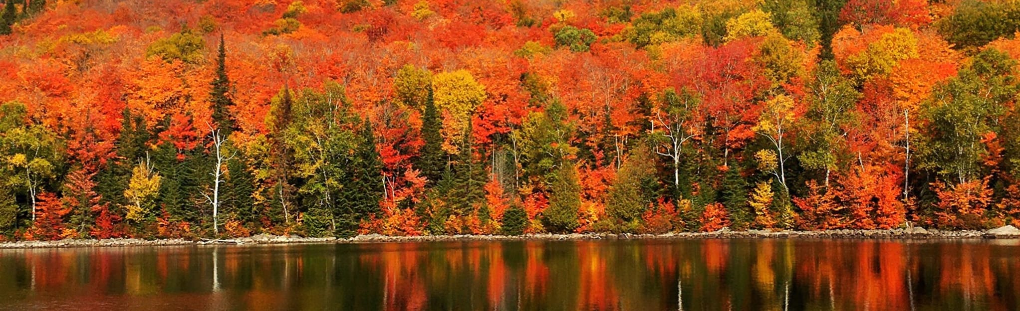 Mount Kaaikop - Monette Trail: 8 Reviews, Map - Quebec, Canada | AllTrails
