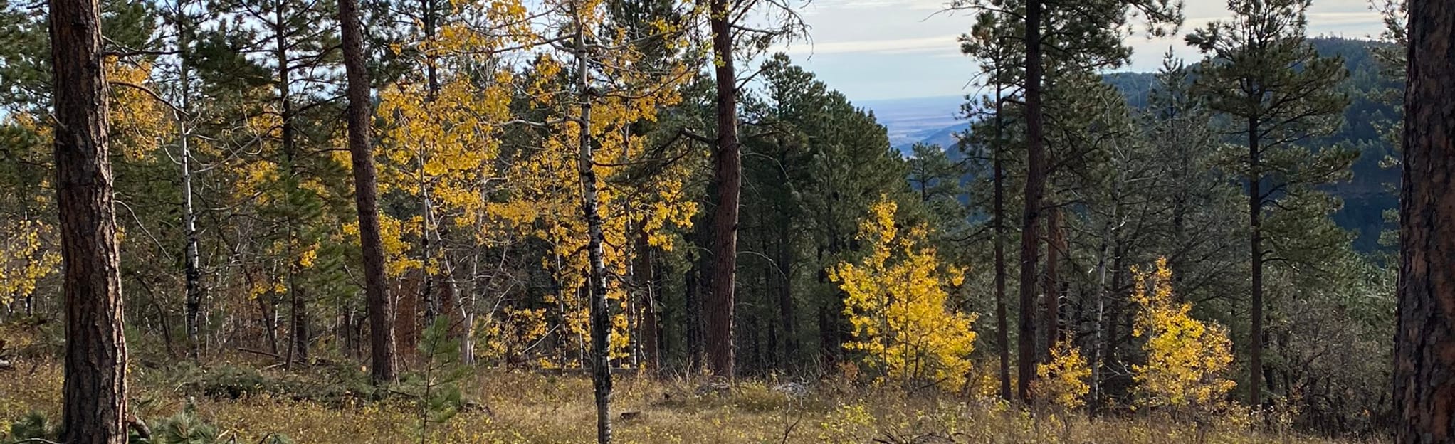 Centennial Trail: Elk Creek Trailhead to Dalton Lake, South Dakota - 19 ...