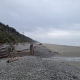 Kalaloch 2nd Beach Trail, Washington - 59 Reviews, Map | AllTrails