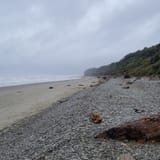 Kalaloch 2nd Beach Trail, Washington - 59 Reviews, Map | AllTrails