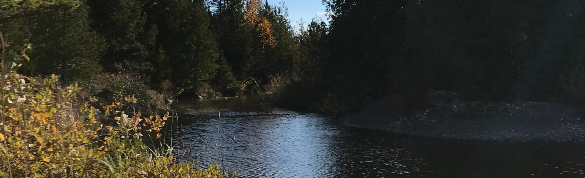 Thompson Harbor Loop Trail, Michigan - 54 Reviews, Map | AllTrails