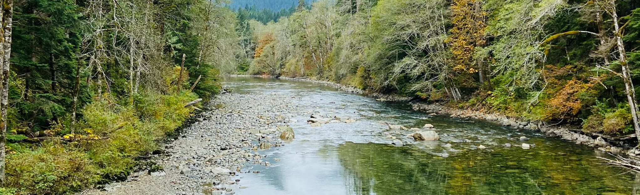 Middle Fork Snoqualmie River Trail: 1.411 foto's - Washington | AllTrails