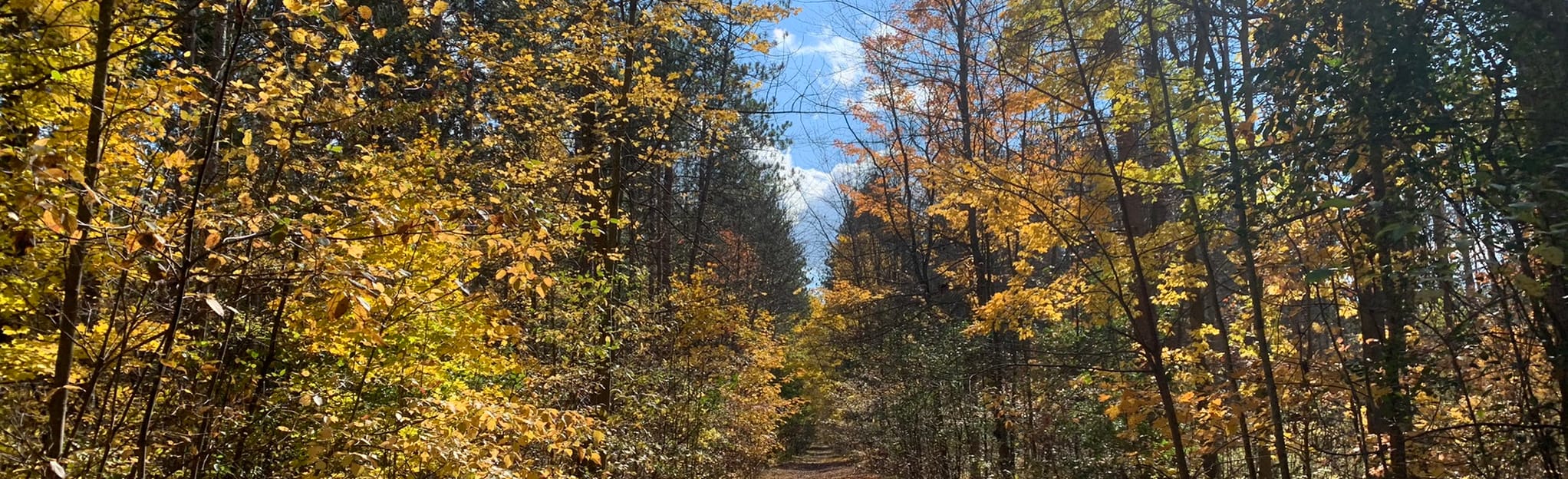 Zephyr Tract, Ontario, Canada - 123 Reviews, Map | AllTrails