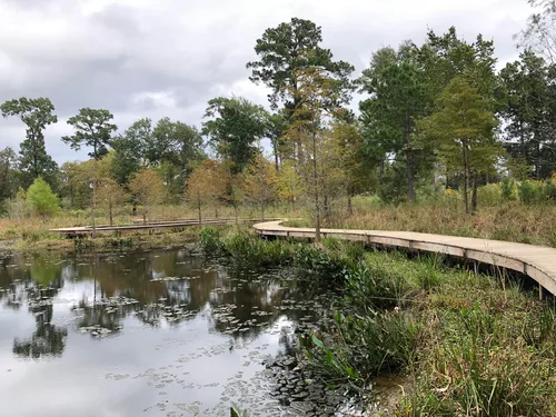 Best Hikes and Trails in Houston Arboretum and Nature Center | AllTrails